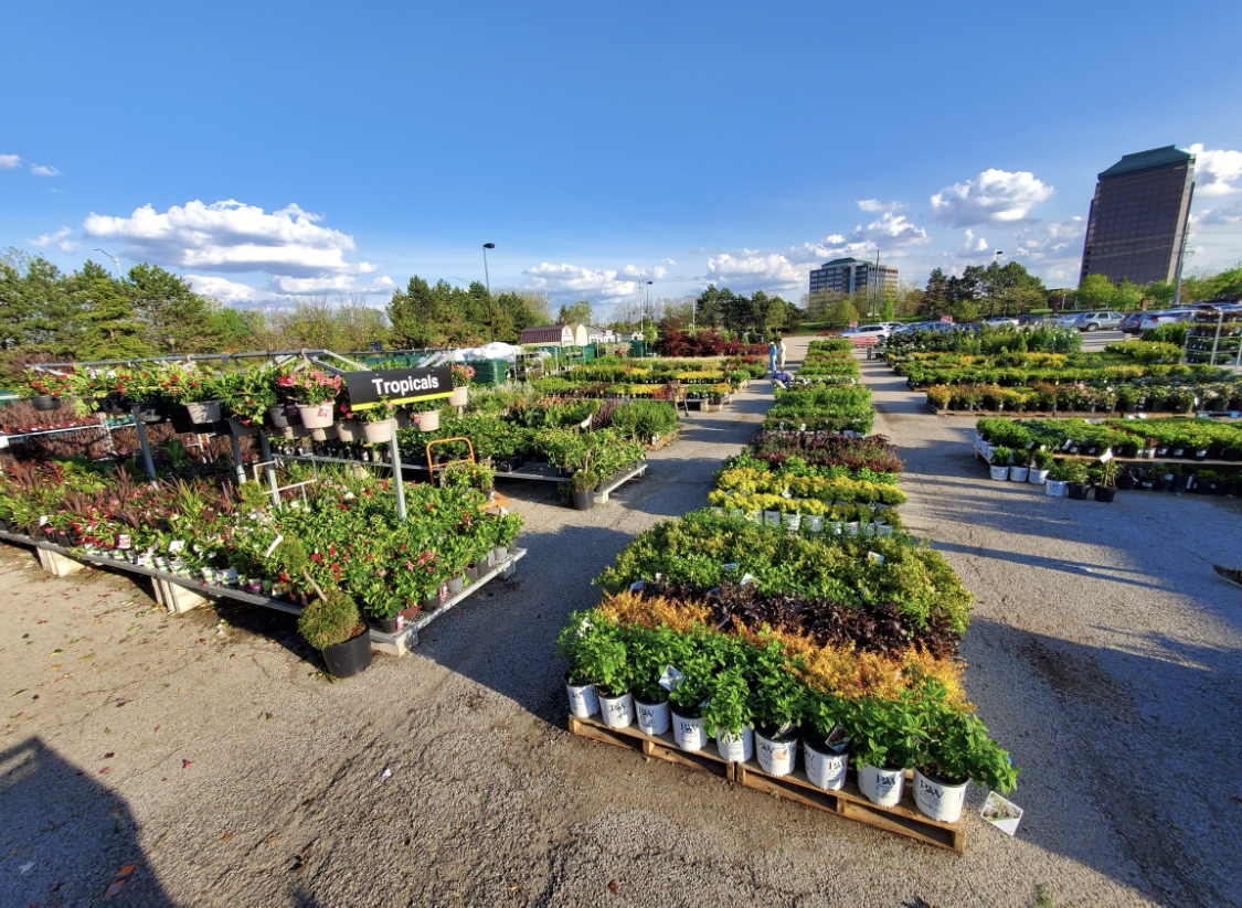 Stinchcomb Associates | Nursery Service Provider